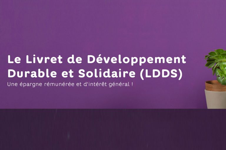 Placement Financier | 20 Meilleurs Placements de 2025