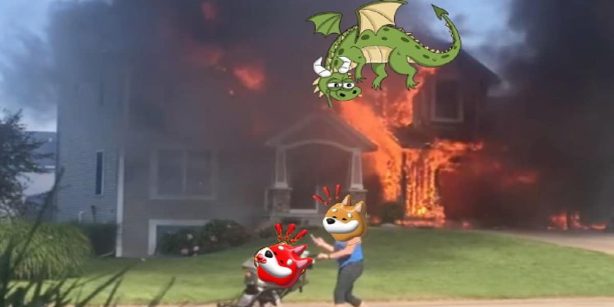 Les memecoins en feu - Zoom sur les succès de BONK, SPONGE V2, SMOG